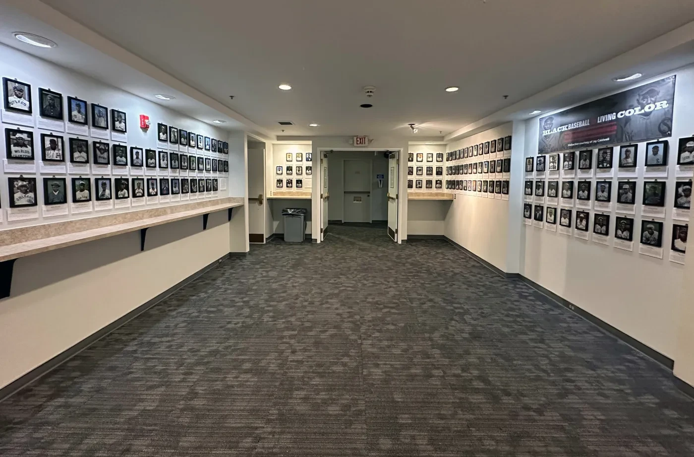 Black Baseball in Living Color | Detroit Historical Society